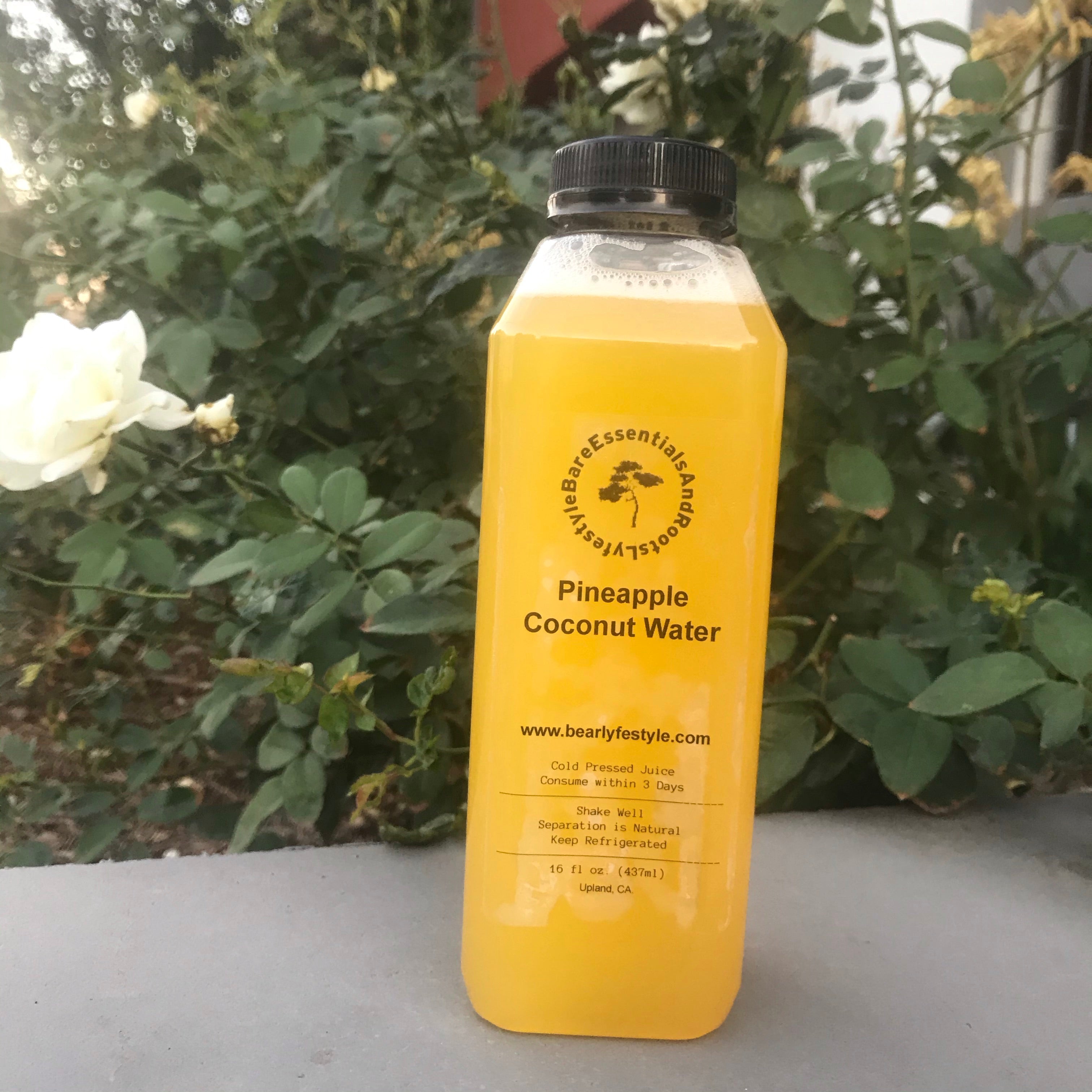 Pineapple Coconut Water Bare Essentials And Roots Lyfestyle 