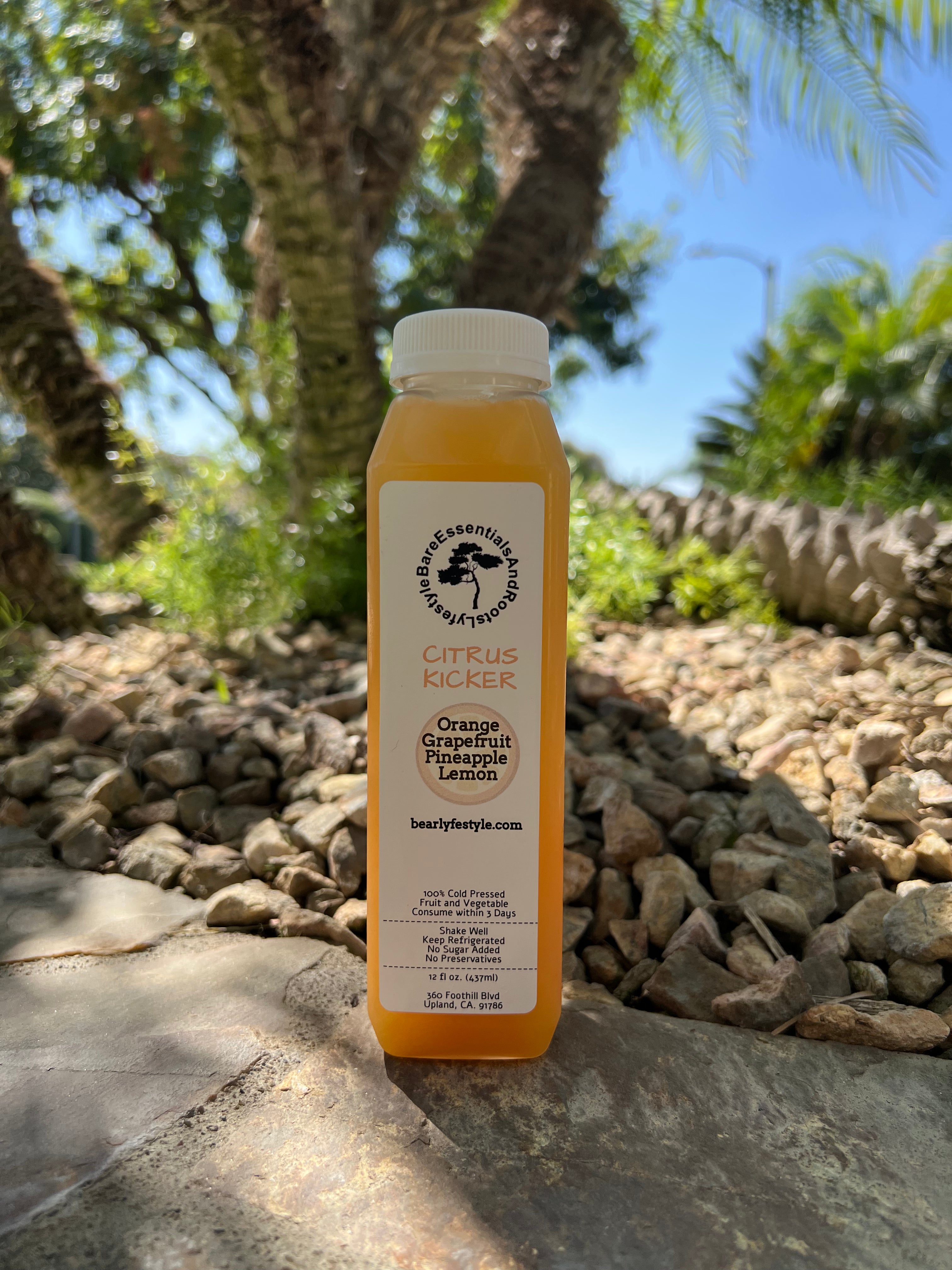 Citrus Kicker – Bare Essentials and Roots Lyfestyle