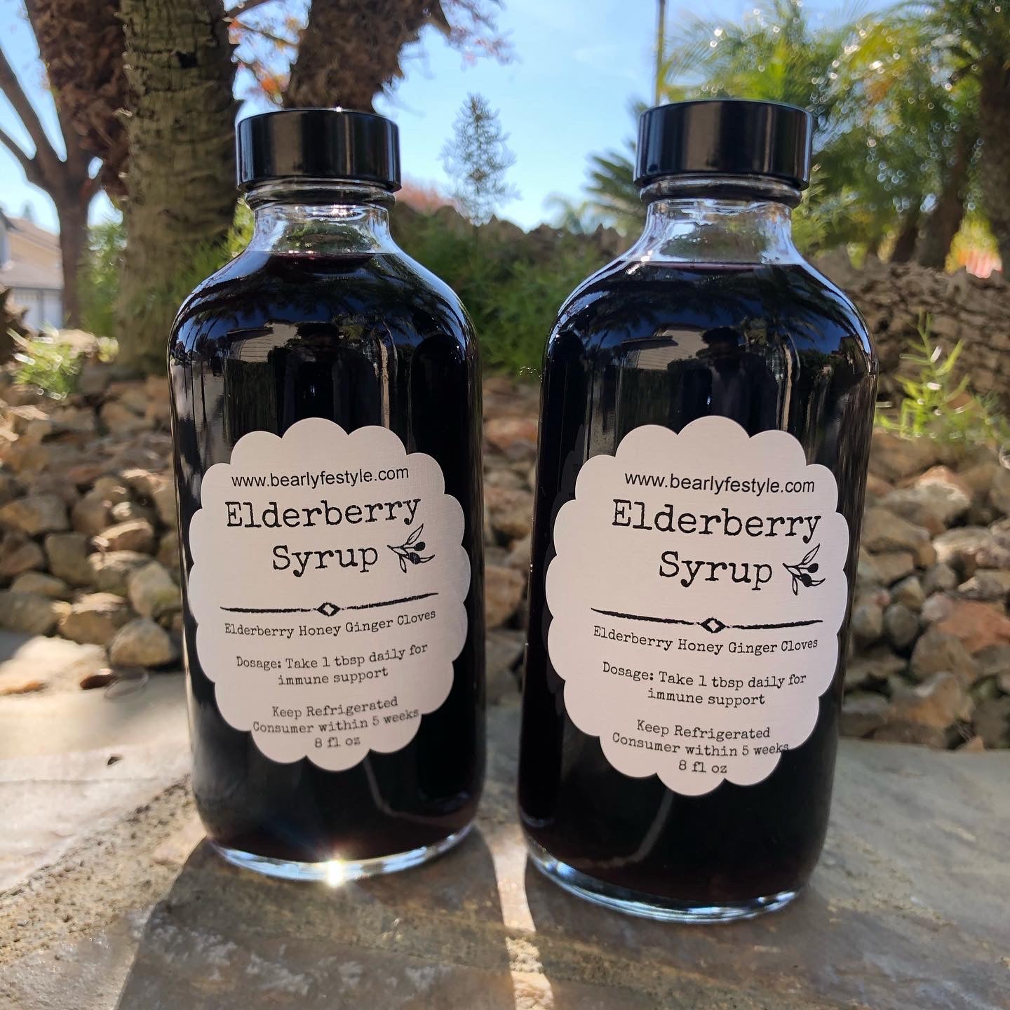 Alkaline Elderberry Syrup (8oz) – Bare Essentials and Roots Lyfestyle